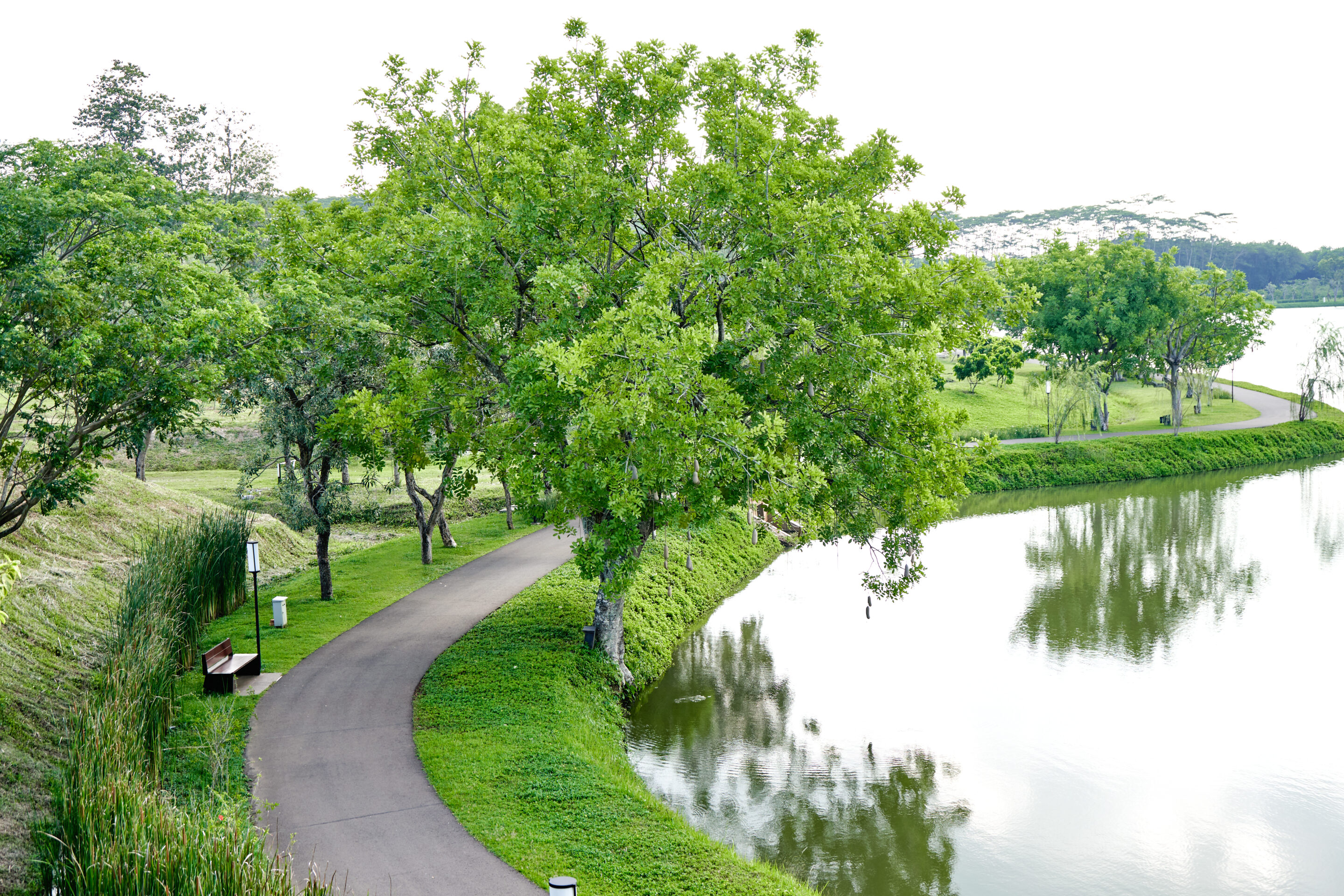 BSB City, A place to live, work and play.